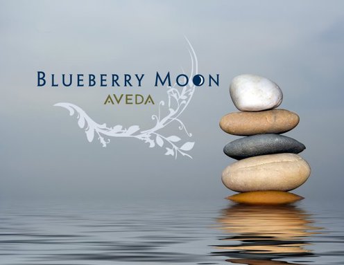 Blueberry Moon Salon Spa - Chicago, IL Gift Card from QuickGifts